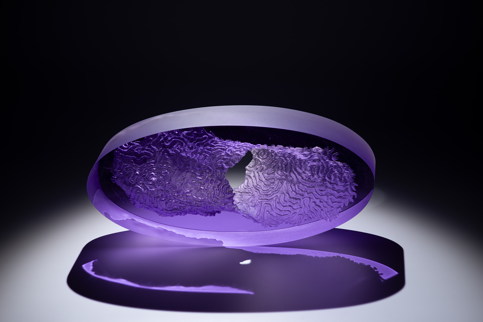 Ivana Mašitová (1961) - ELIPSA III fialová - Auction of Contemporary ...