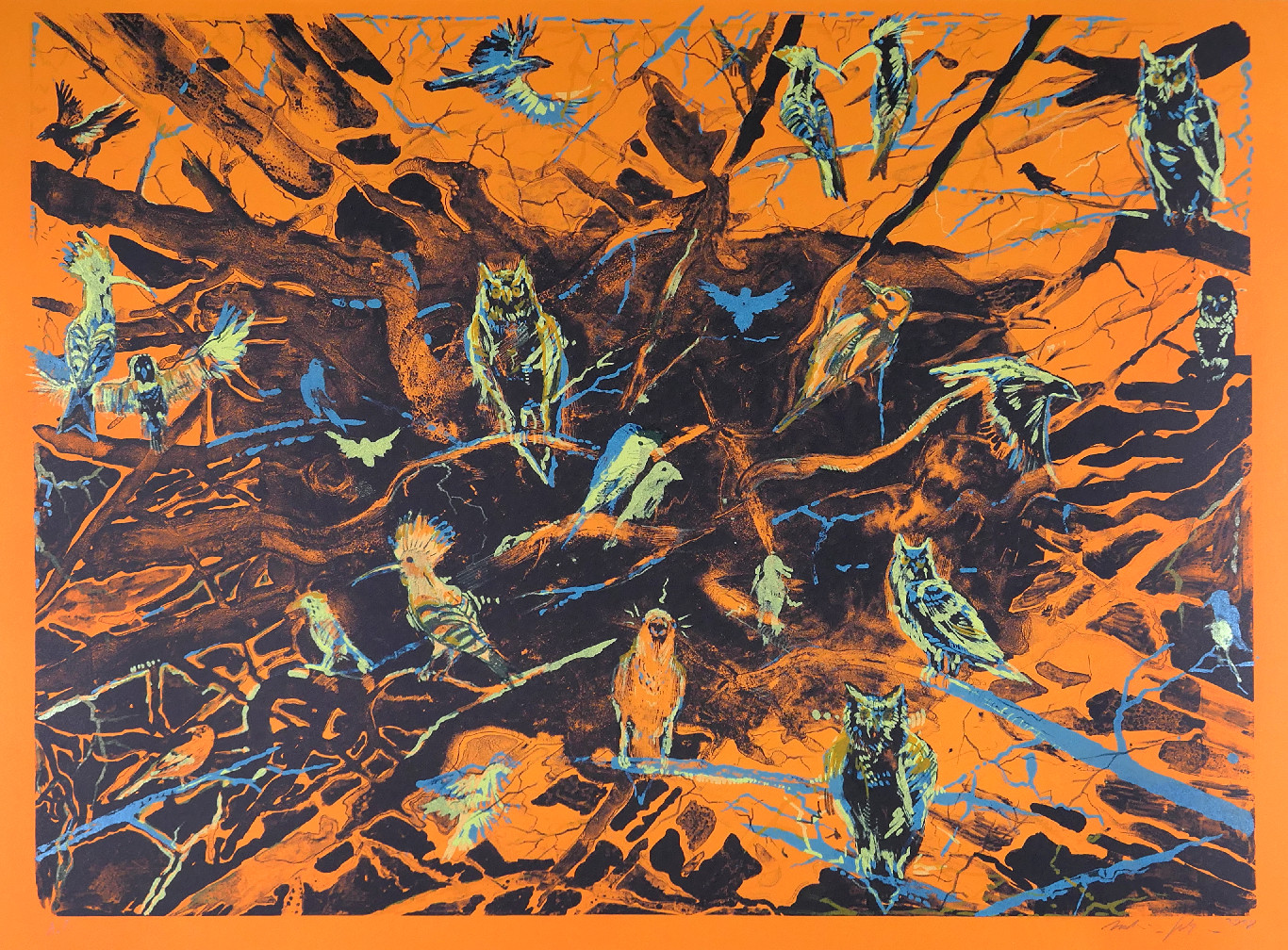 Martin Salajka (1981) - Ptáci - Livebid.cz