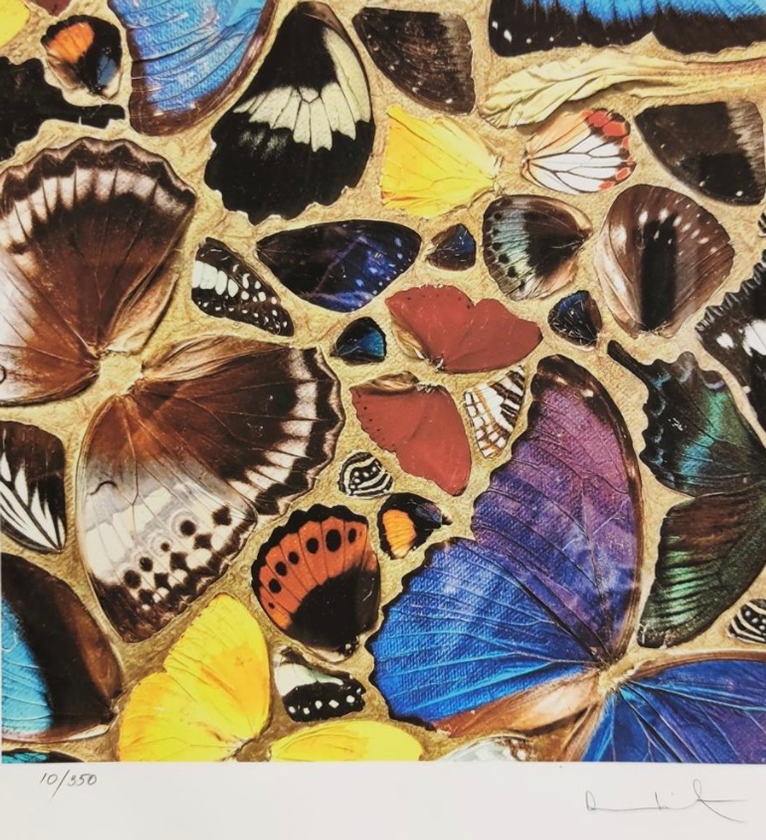 Damien Hirst (1965) - Eulogy - Fine Arts 20-21st century - Livebid.cz